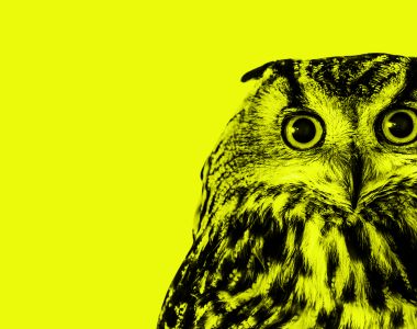 ANAVEO | Votre sécurité unifiée à portée de main