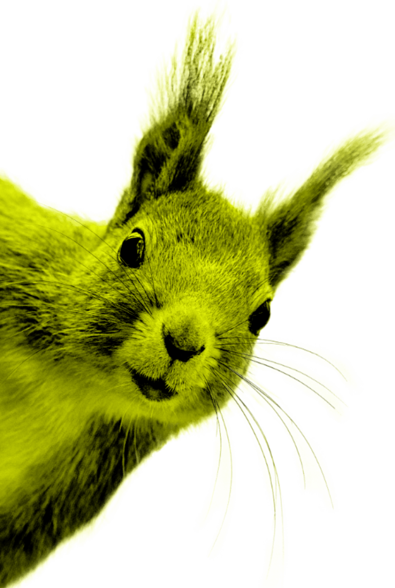 Le groupe ANAVEO - Qui sommes-nous